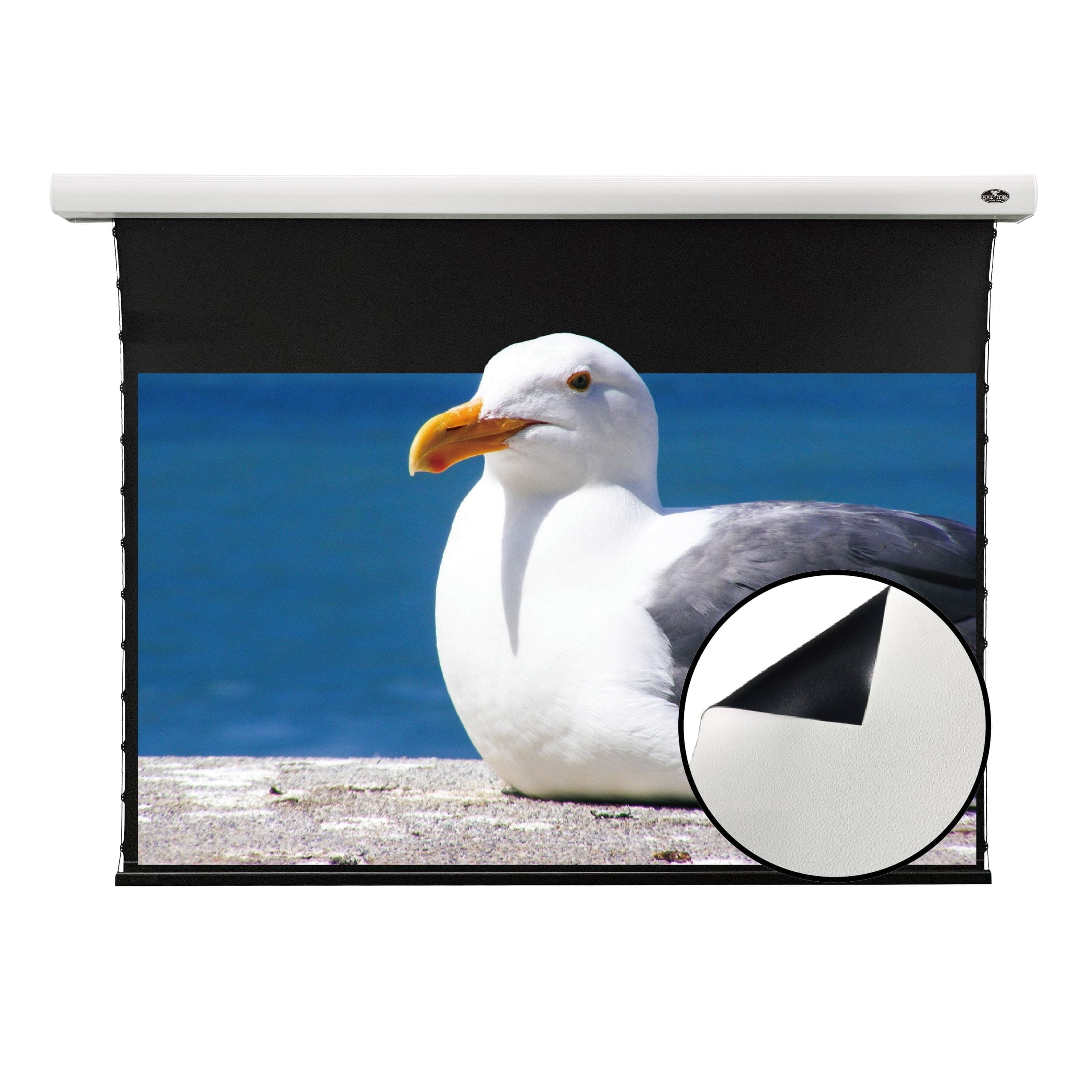 Slimline Motorised Drop Down Projector Screen (With White Cinema ...
